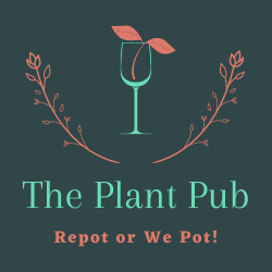 About Us – The Plant Pub